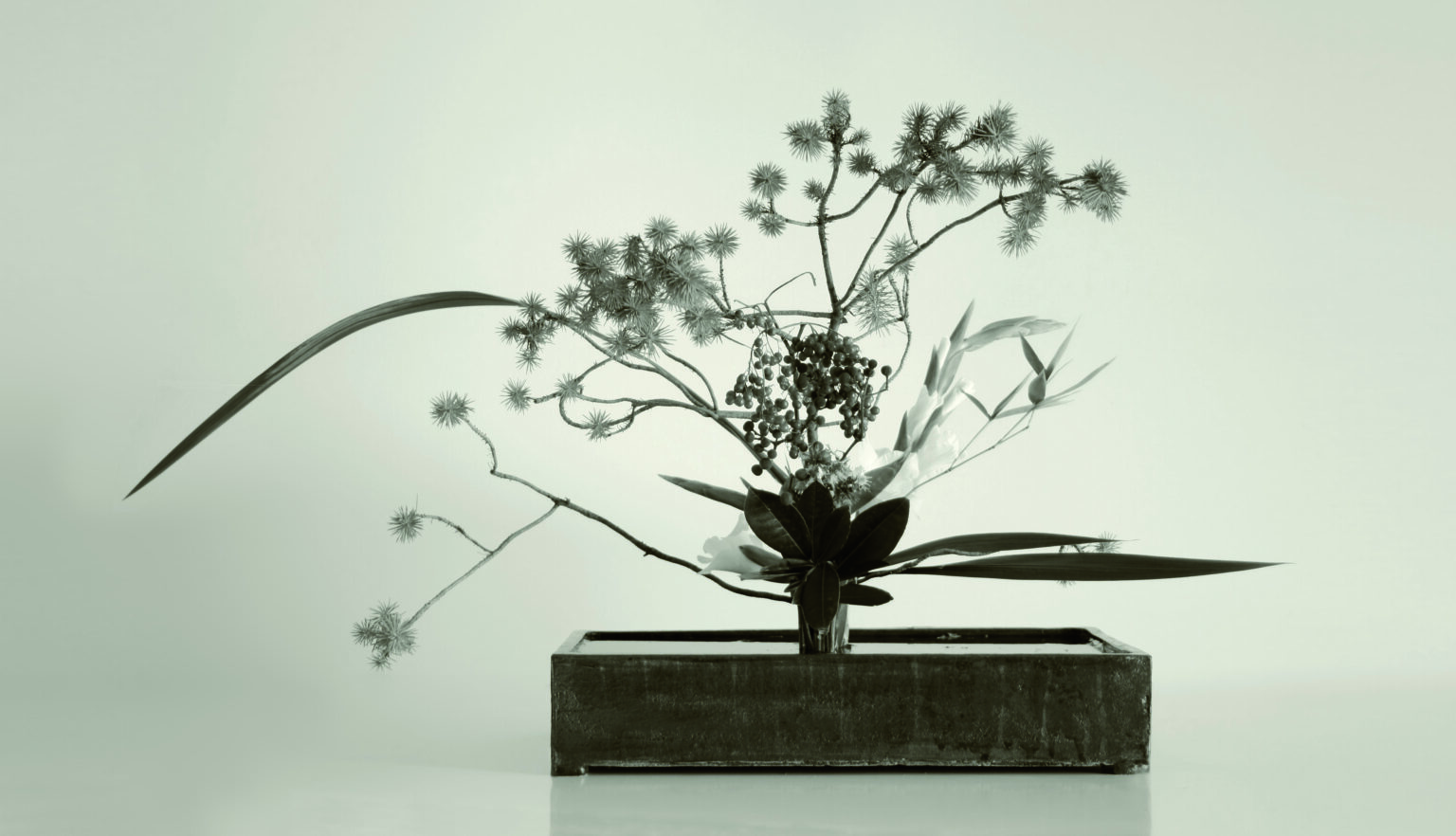 Ikebana and landscape. 'Rikka' style. | Espores