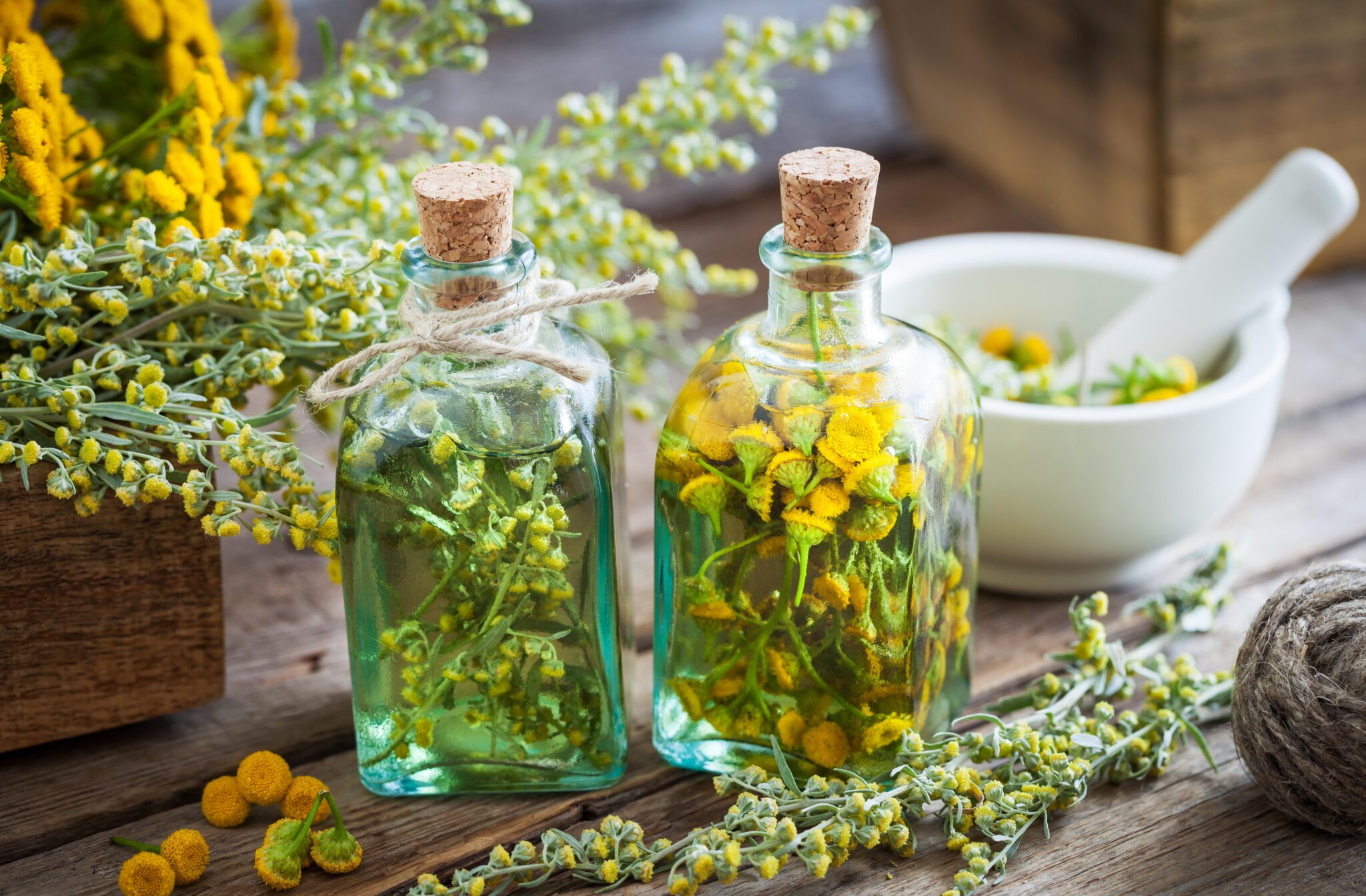 Oleatos: la cosmética natural al alcance de todos | Espores