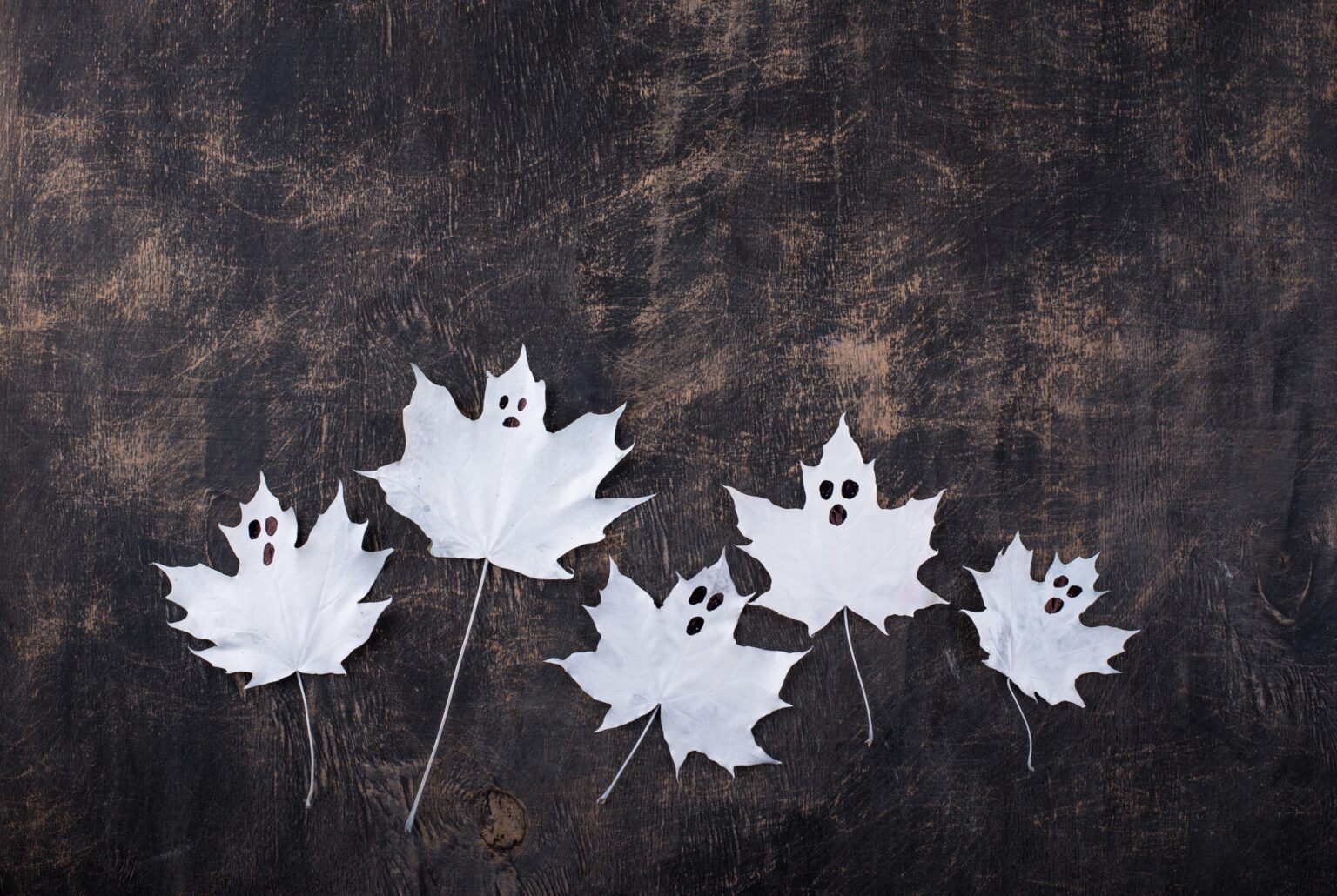 Natural inspiration: a botanical Halloween | Espores