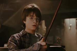 The Botany of Harry Potter | Espores