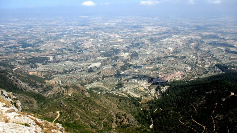 La Vall d’Albaida, la Blanca (I) | Espores